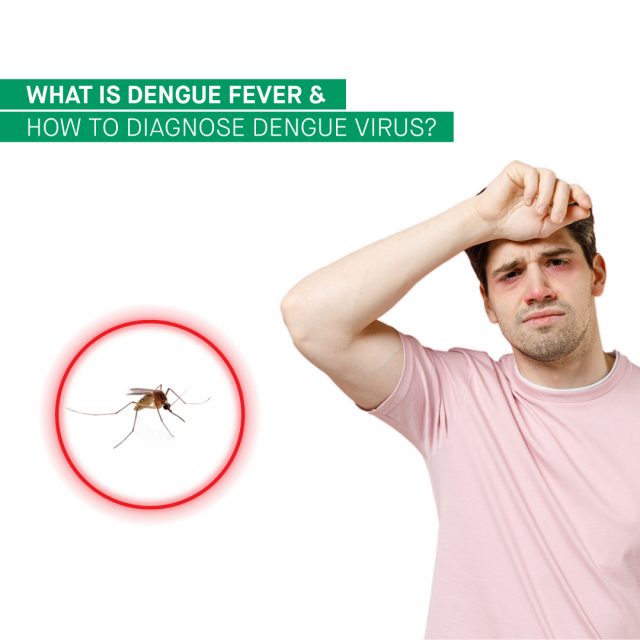 What is Dengue Fever and How to Diagnose Dengue Virus? - Vitrosens ...