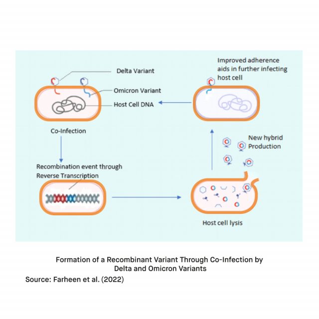 What is the Deltacron Variant? - Vitrosens Biotechnology - Human and ...