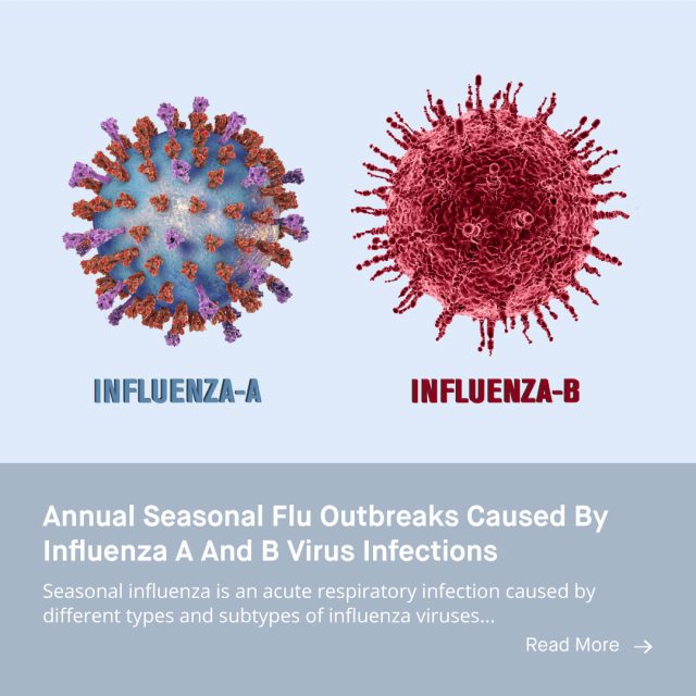 Annual Seasonal Flu Outbreaks Caused by Influenza A and B Virus ...