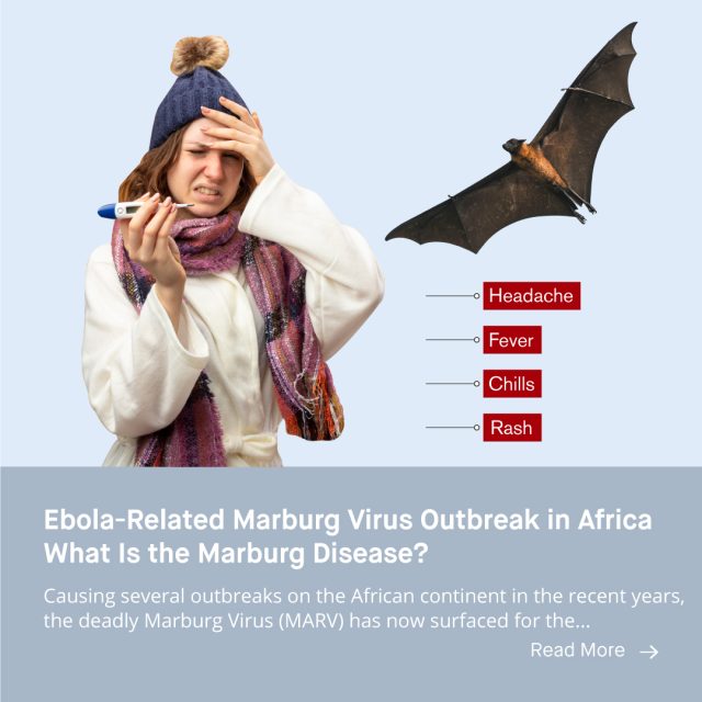 Ebola-Related Marburg Virus Outbreak in Africa | What is the Marburg ...
