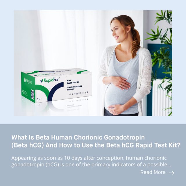 What Is Beta Human Chorionic Gonadotropin (Beta hCG) and How to Use the ...