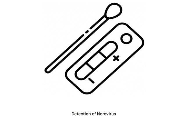 What is Norovirus (Diarrhoea and Vomiting Bug)? How to Use Norovirus ...