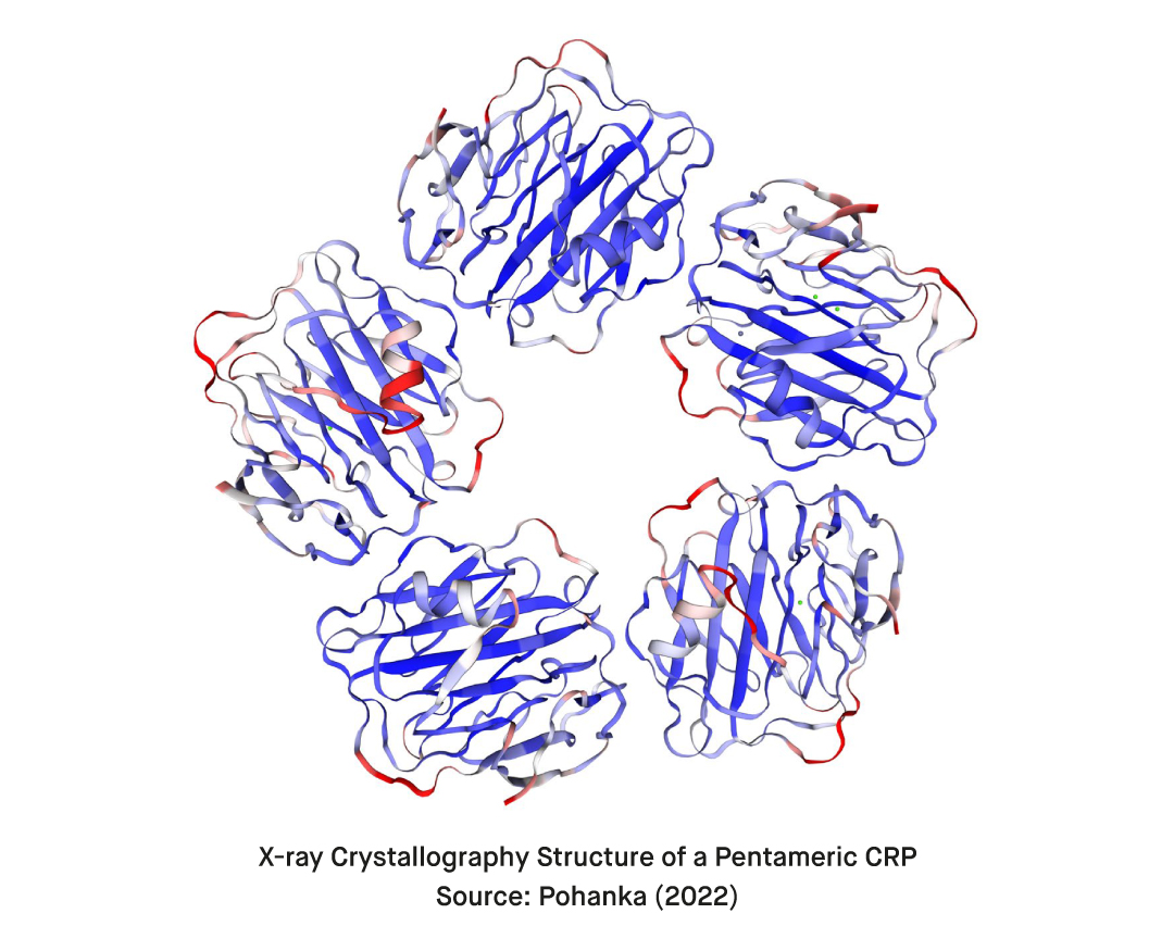 What is C-reactive Protein (CRP) and How to Use C-reactive Protein (CRP ...
