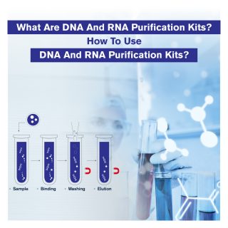What are DNA and RNA Purification Kits? How to Use DNA and RNA ...