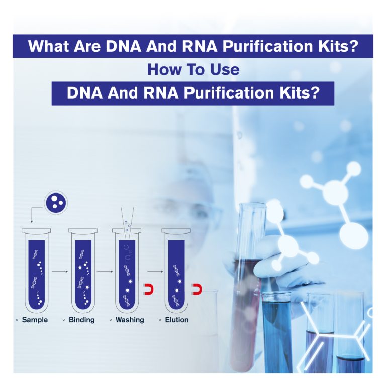 What are DNA and RNA Purification Kits? How to Use DNA and RNA ...
