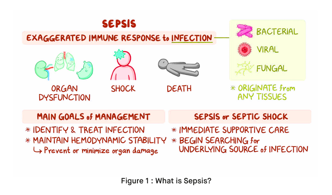 What is Sepsis? How to Use Sepsis Real-Time qPCR Panel Detection Kit ...