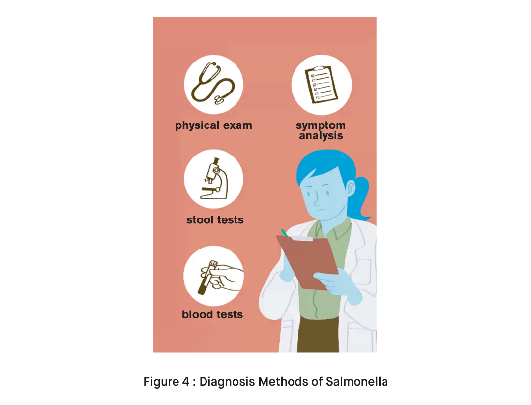 What is Salmonella Infection (Salmonellosis)? How to Use the Salmonella ...