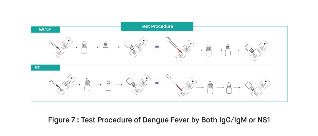 Dengue Fever Cases Are Rising Rapidly. How to Use Dengue Virus (DENV ...