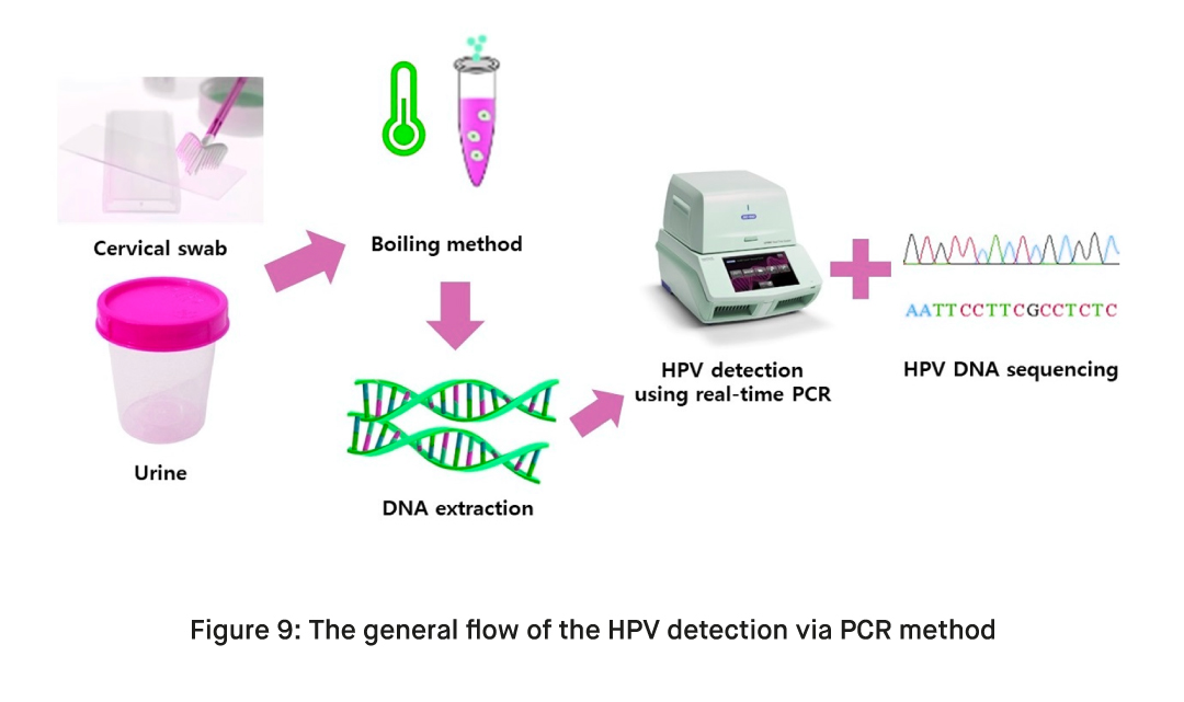 What is Human Papilloma Virus (HPV) That Causes Cervical Cancer? Which ...