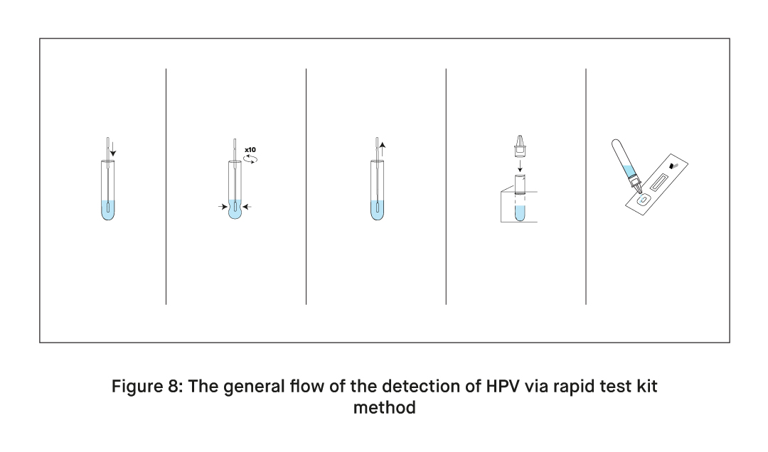What is Human Papilloma Virus (HPV) That Causes Cervical Cancer? Which ...