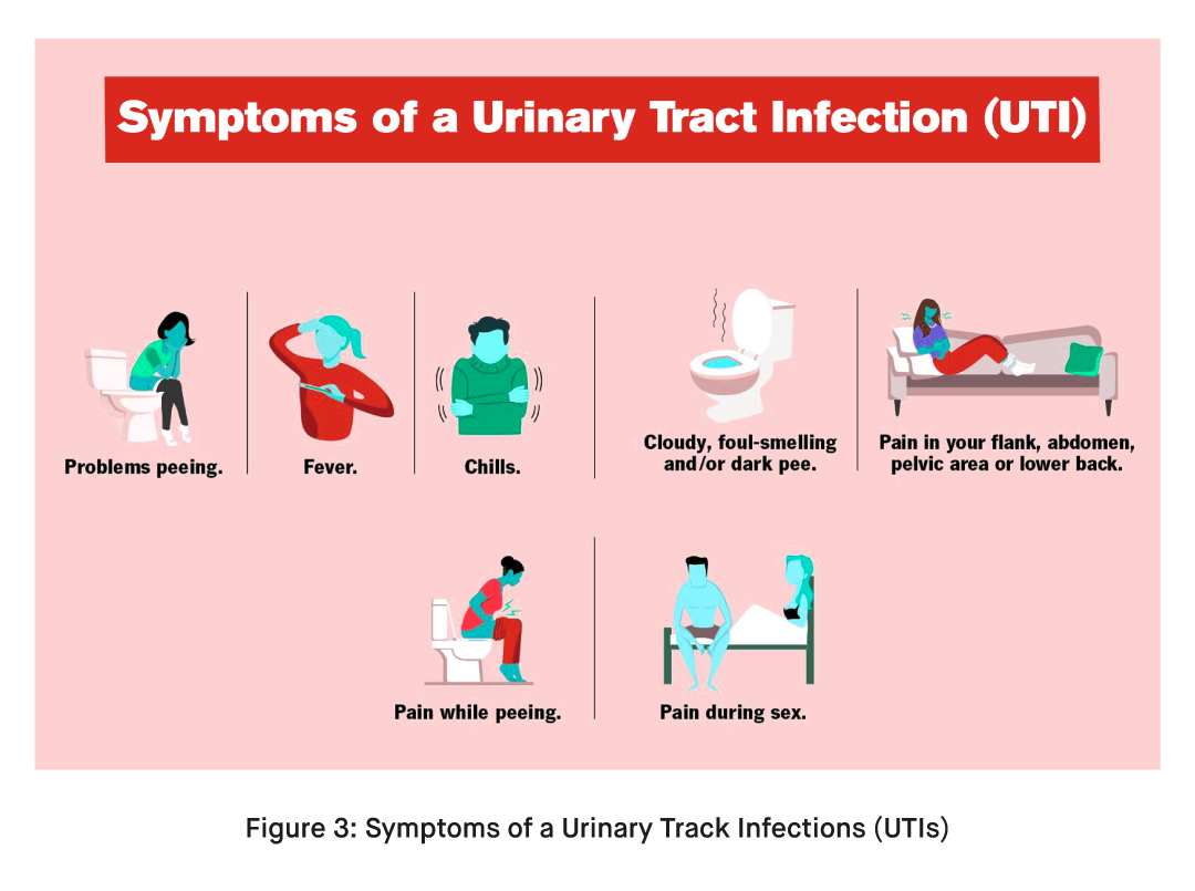 What is Urinary Tract Infection (UTI)? How to Use Urinary Tract ...