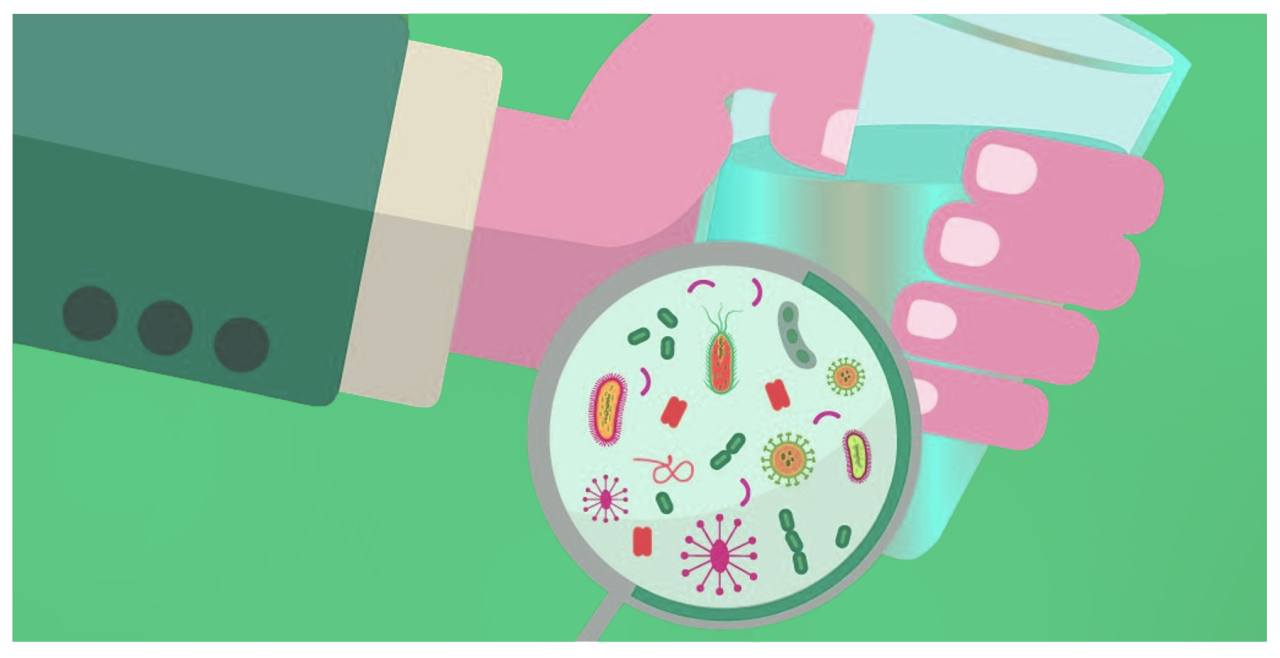 Preventing Waterborne Diseases: Your Guide to Using the Cryptosporidium ...