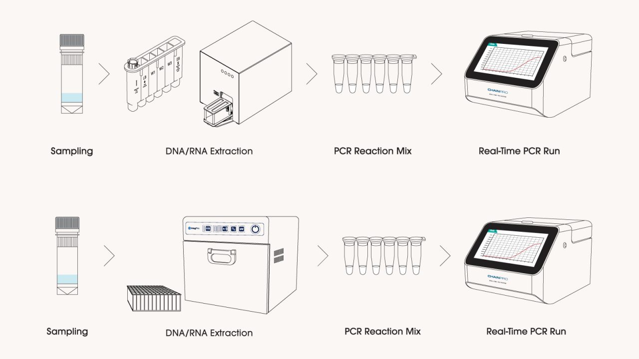 Accurate Detection of C. difficile Toxin B with ChainFor RT-qPCR Kit